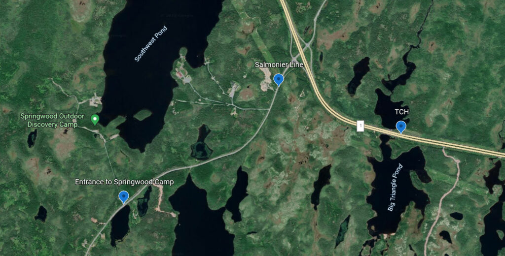 Springwood Outdoor Discovery Camp | Helping kids discover their ...