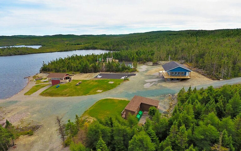 Springwood Outdoor Discovery Camp | Helping kids discover their ...