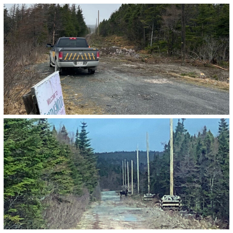 Springwood Outdoor Discovery Camp | Development Plan